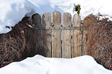 Snow And Garden Gate Free Stock Photo - Public Domain Pictures
