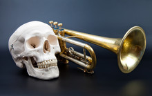Skeleton Banjo Player Free Stock Photo - Public Domain Pictures