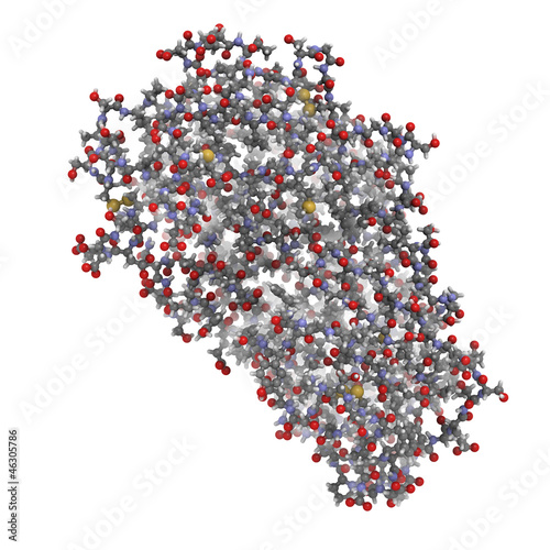 Pepsin enzyme molecule, chemical structure - Buy this stock ...