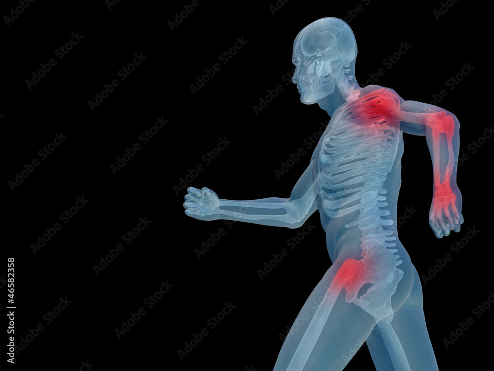High resolution 3D human for anatomy,medicine and health Stock ...