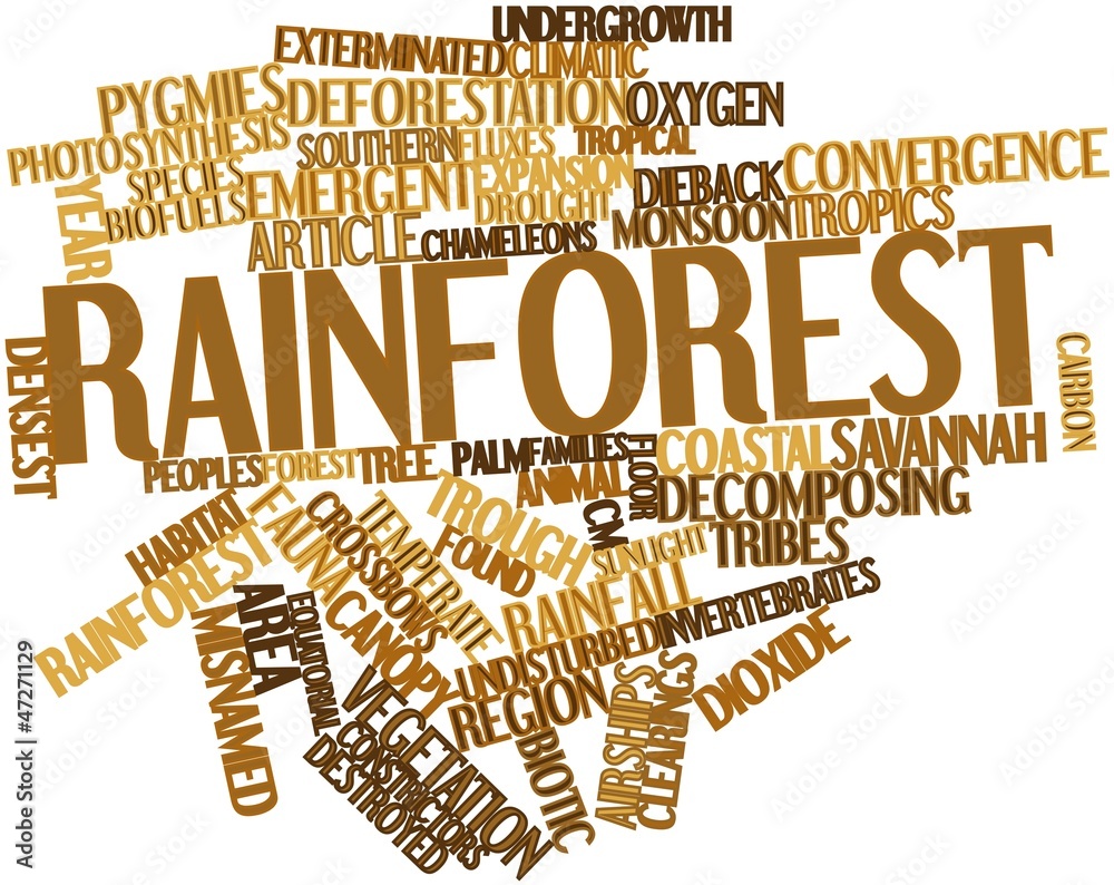 Word cloud for Rainforest Stock Illustration | Adobe Stock