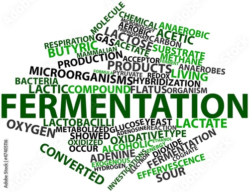Word cloud for Fermentation Stock Illustration | Adobe Stock