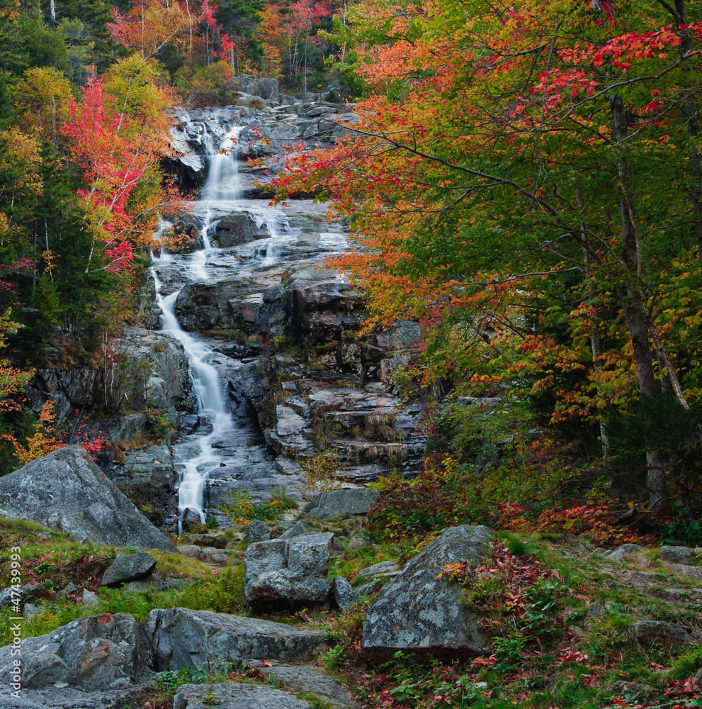 Beautiful cascade and fall foliage. Stock Photo | Adobe Stock