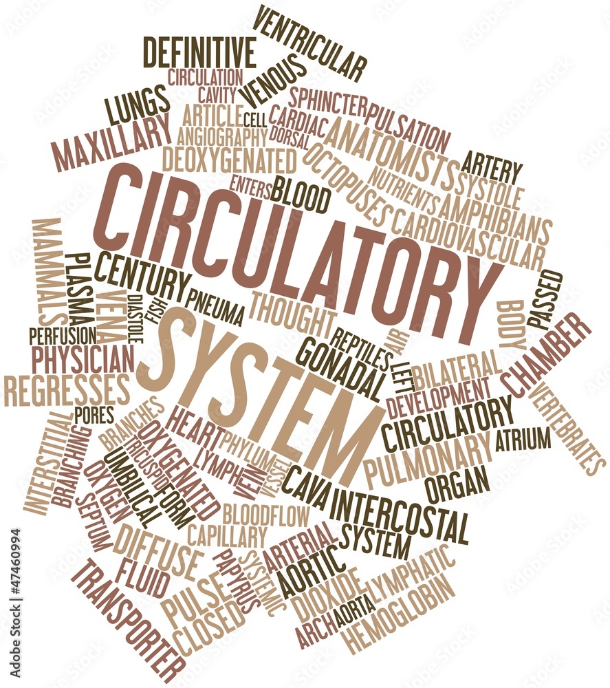 Word cloud for Circulatory system Stock Illustration | Adobe Stock