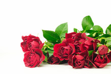 Vermillion Rose Free Stock Photo - Public Domain Pictures