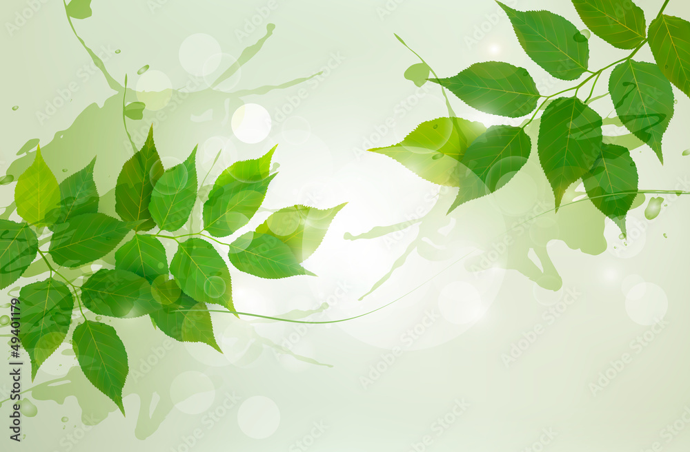 Nature background with green spring leaves. Vector illustration. Stock ...