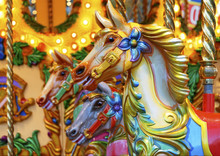 Carousel Horse Head Free Stock Photo - Public Domain Pictures