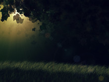 Misty Moonlit Night Free Stock Photo - Public Domain Pictures