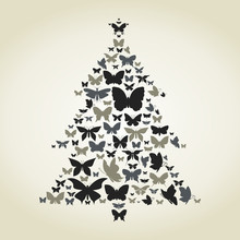 Christmas Butterflies Free Stock Photo - Public Domain Pictures