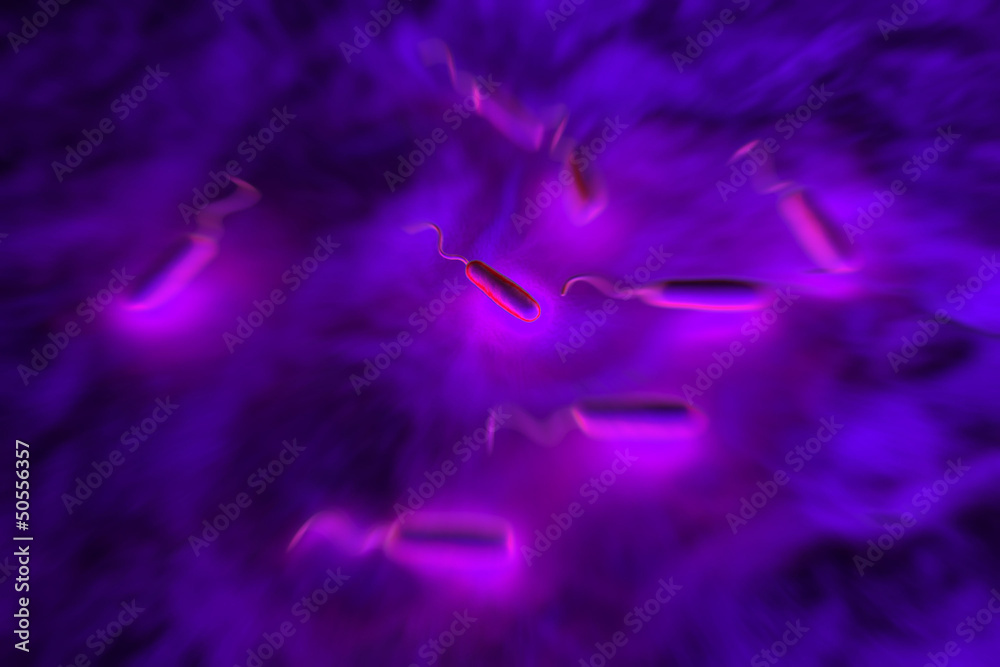 Ilustración de Stock Gram-negative rod-shaped bacteria have a single ...