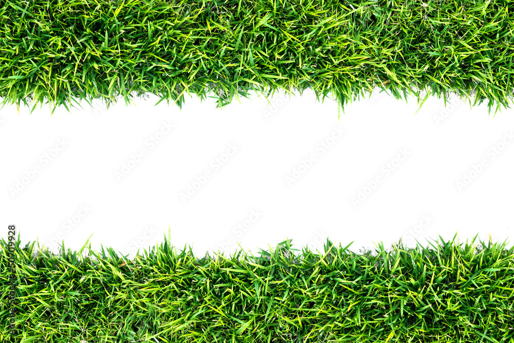 green grass texture and white background Stock Photo | Adobe Stock