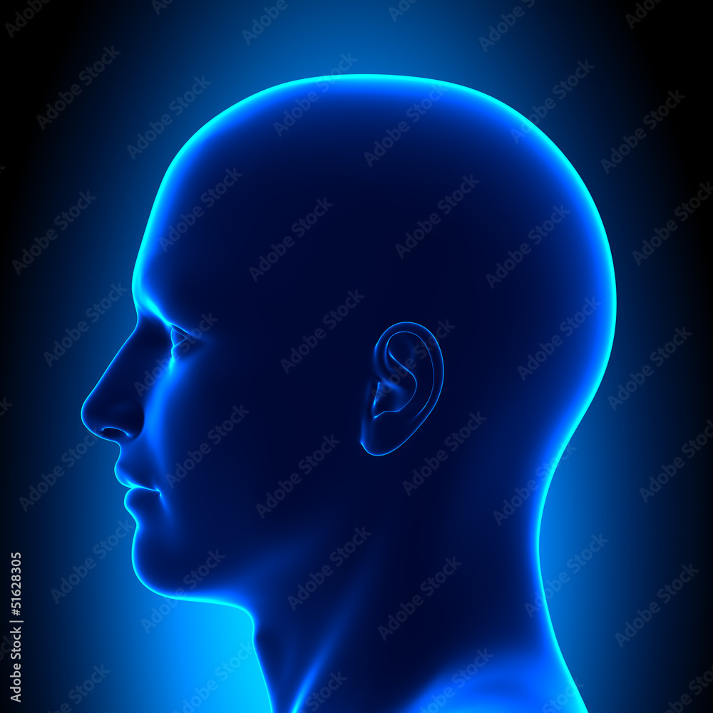Anatomy Head - Left Side View - Blue concept Stock Illustration | Adobe ...