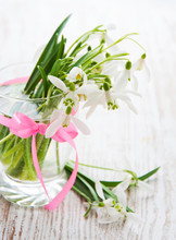 Snowdrop, Flowers, Bouquet Free Stock Photo - Public Domain Pictures