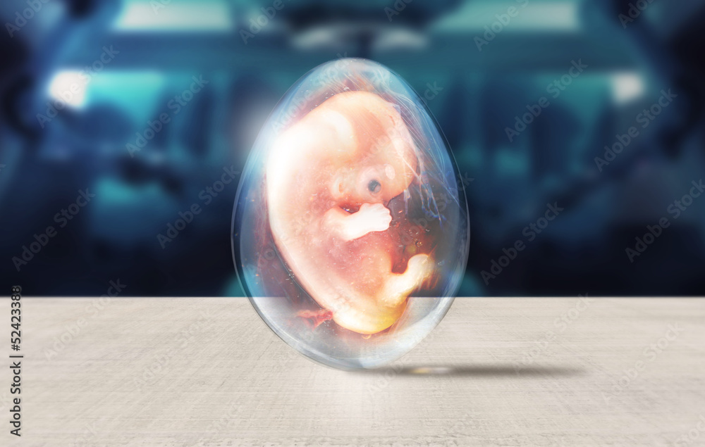clone embryo Stock Illustration | Adobe Stock