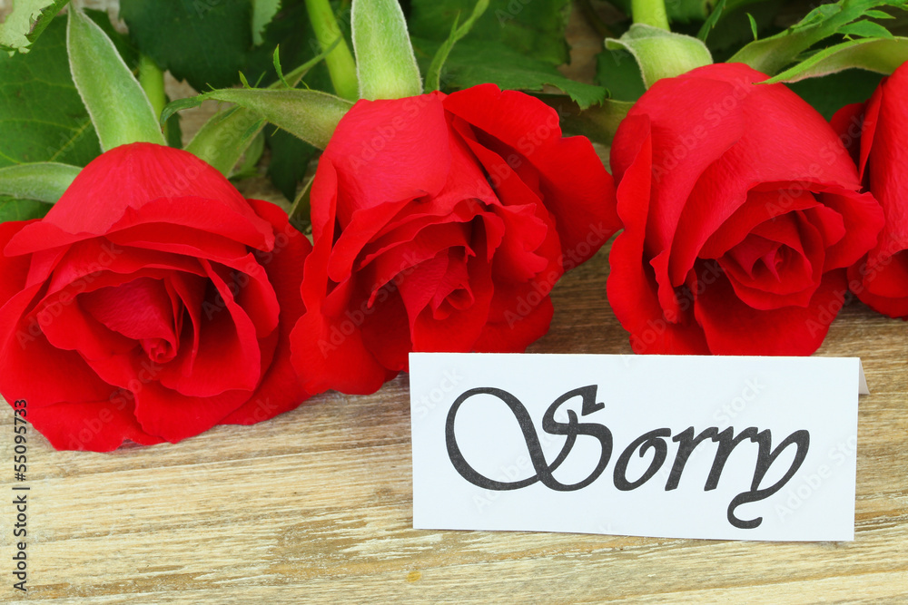 Sorry card with red roses Stock Photo | Adobe Stock