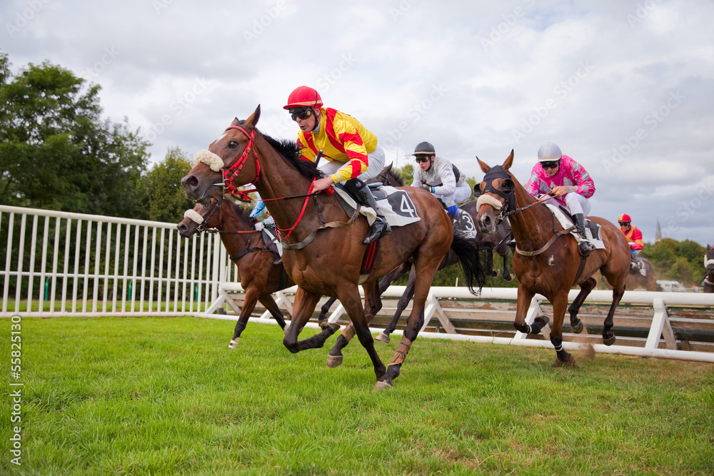 Course hippique > Saut Stock Photo | Adobe Stock