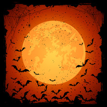 Spider Web Full Moon Free Stock Photo - Public Domain Pictures