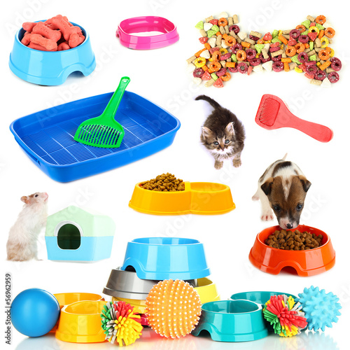 Collage of pets and different stuff for them Stock Photo | Adobe Stock