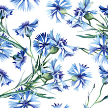 Cornflower Blue Pattern Square Free Stock Photo - Public Domain Pictures