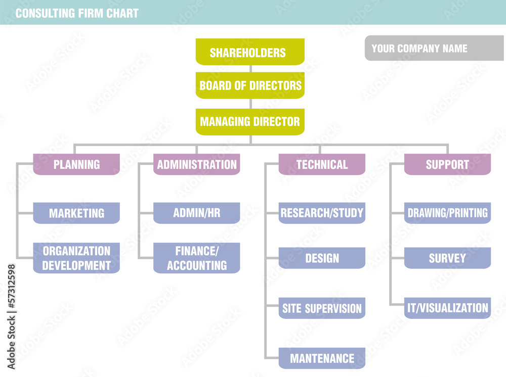 Organization Chart: consulting firm Stock Vector | Adobe Stock