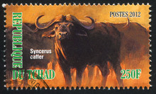 Vintage Buffalo Postcard Free Stock Photo - Public Domain Pictures