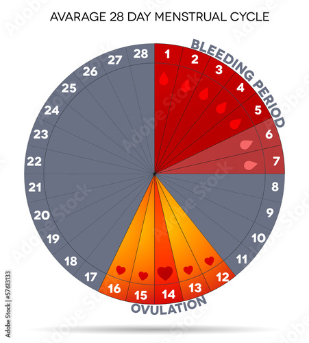 Implantation Bleeding Vs Menstrual Cycle