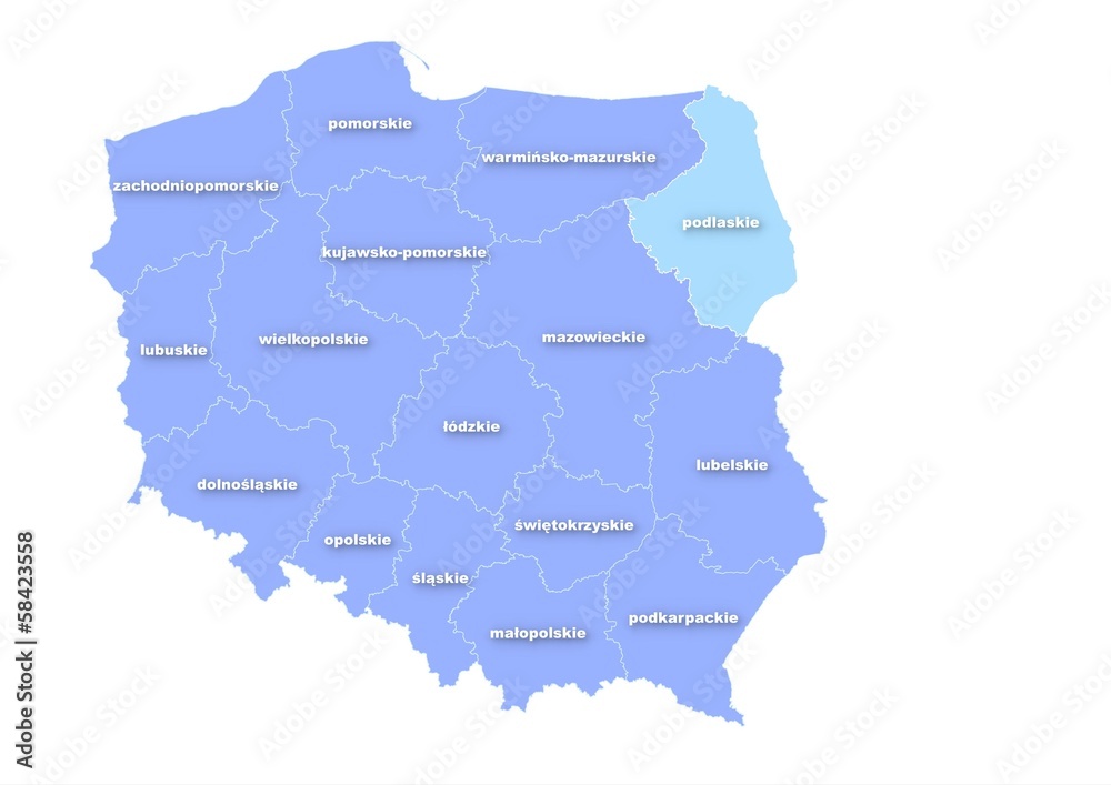 Administracyjna mapa polski Stock Illustration | Adobe Stock