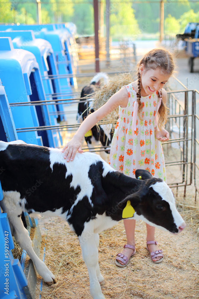 Happy little girl strokes black and white calf at cow farm Stock Photo ...