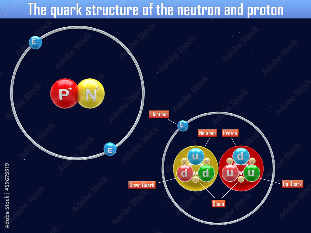 The quark structure of the neutron and proton Stock Illustration ...