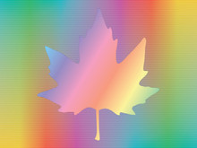 Rainbow Maple Leaf Free Stock Photo - Public Domain Pictures