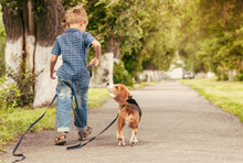 Boy With Dog Free Stock Photo - Public Domain Pictures