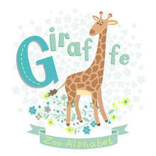 Letter G Of Giraffe Free Stock Photo - Public Domain Pictures