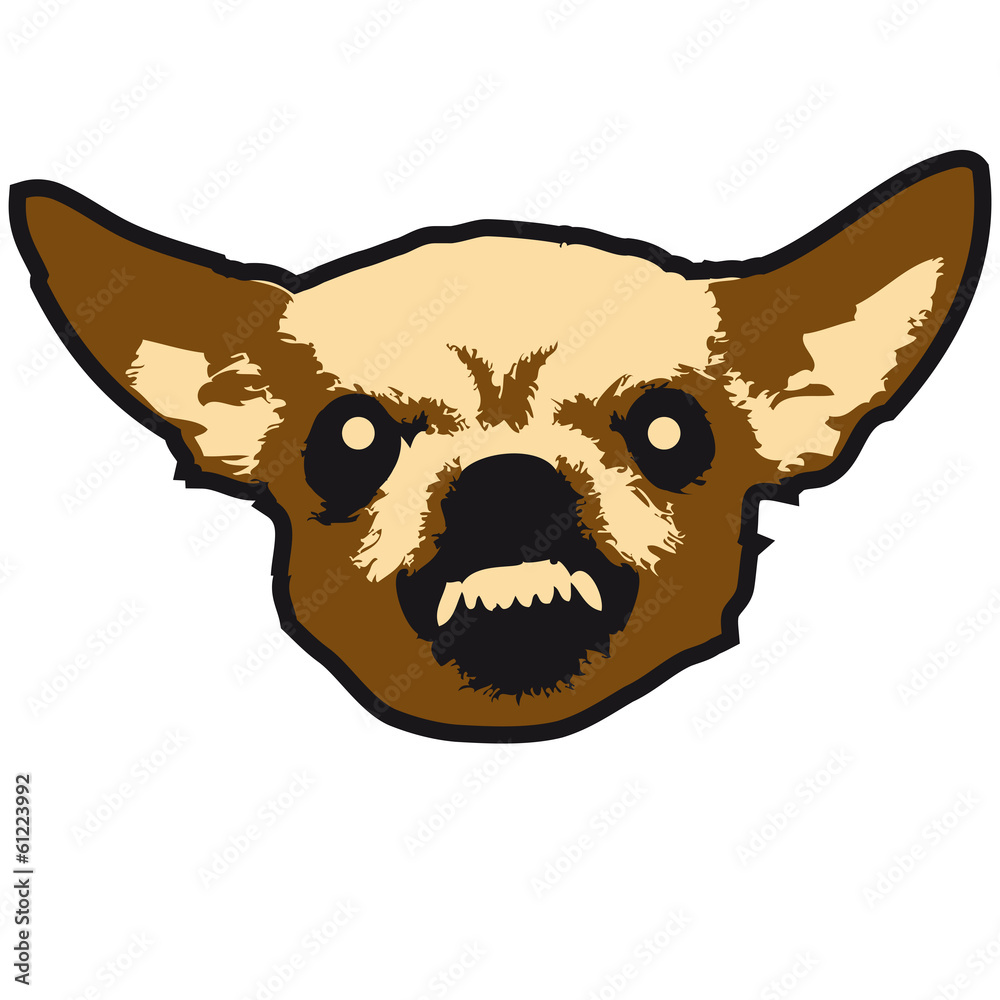 Angry Chihuahua Face Stock Illustration | Adobe Stock