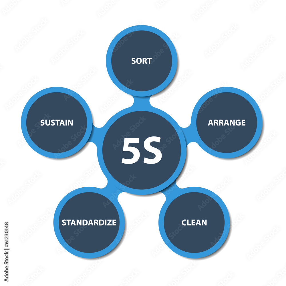 5S strategy schema with english description Stock Vector | Adobe Stock