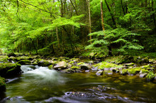 Moving Mountain Stream Free Stock Photo - Public Domain Pictures