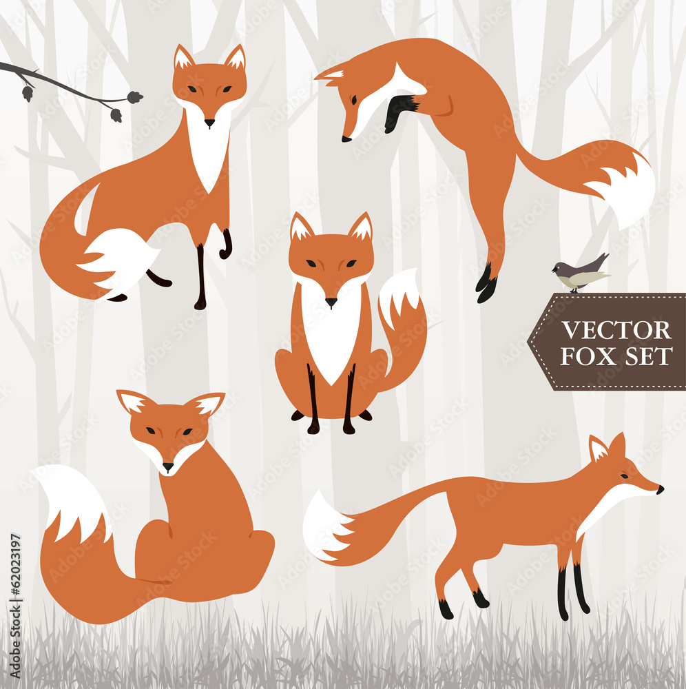 Illustrated fox vector file Stock Vector | Adobe Stock