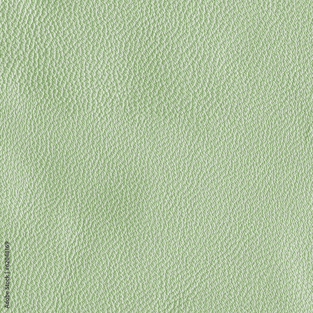 Foto de Stock pale green leather texture | Adobe Stock
