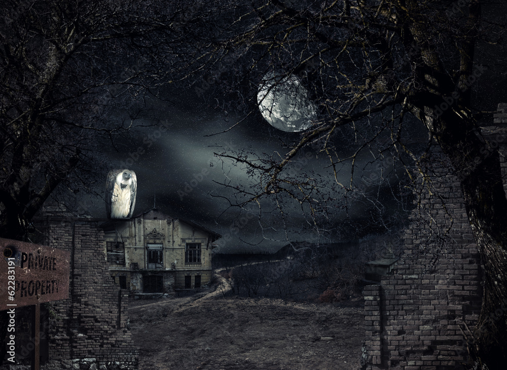 Haunted house with vulture waiting の Stock イラスト | Adobe Stock