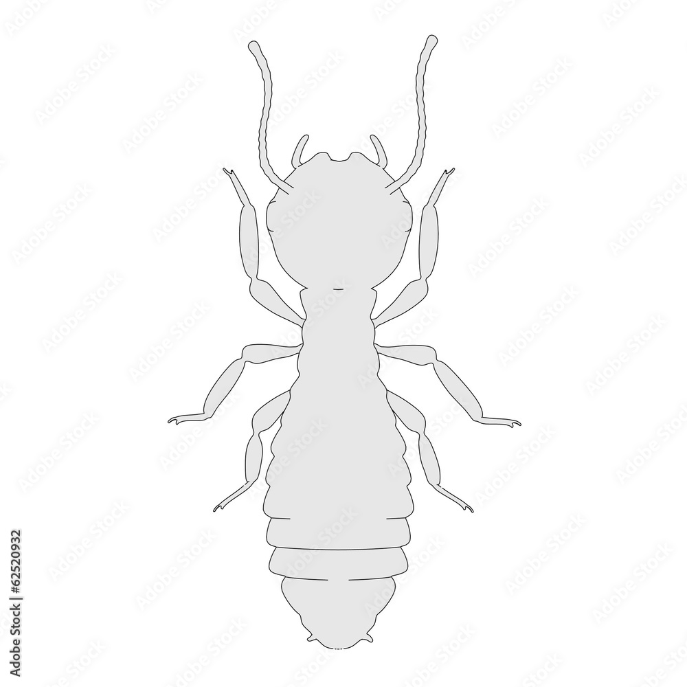 cartoon image of termite ant Stock Illustration | Adobe Stock