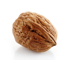 Single Walnut Free Stock Photo - Public Domain Pictures