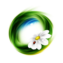 Fractal Ladybug Free Stock Photo - Public Domain Pictures