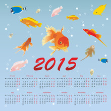 2014 Calendar Fish Background Black Free Stock Photo - Public Domain ...