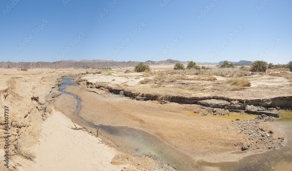 Stock-Foto „Small stream going through desert oasis“ | Adobe Stock