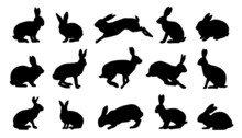 Silhouette Of A Rabbit Free Stock Photo - Public Domain Pictures