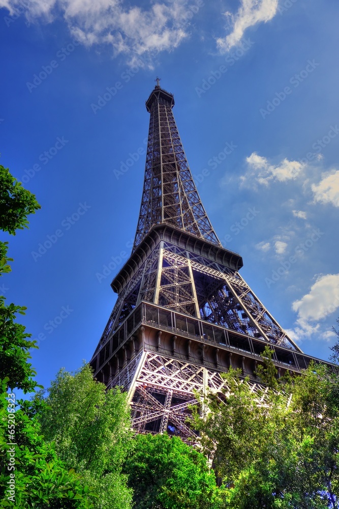 Paysage parisien avec la Tour Eiffel en fond Stock Photo | Adobe Stock