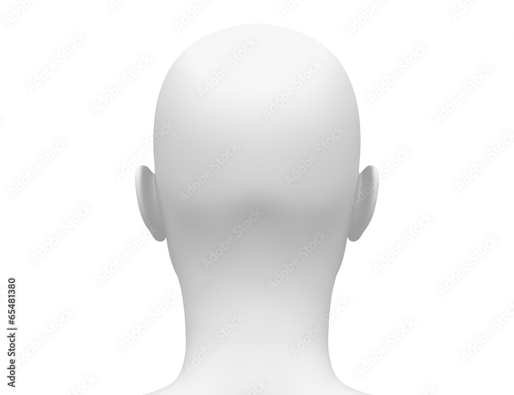 Female Head Muscles Anatomy - Back view Stock Illustration | Adobe Stock