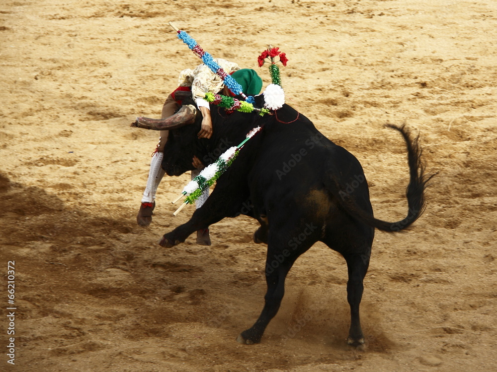 Photo Stock Torada, Tourada, Corrida | Adobe Stock