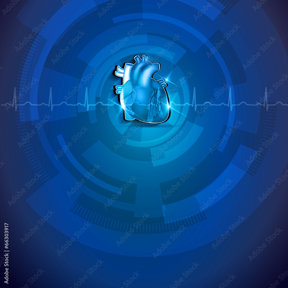 Human heart anatomy, blue cardidogram background Stock Vector | Adobe Stock