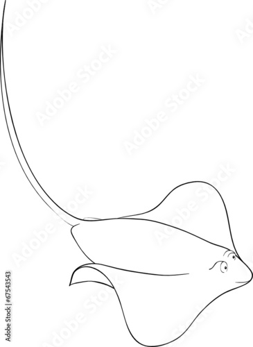 Rochen Lineart Stock-Vektorgrafik | Adobe Stock