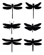 Dragonfly Silhouette Free Stock Photo - Public Domain Pictures